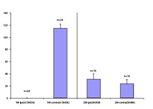 Behavior tests used with the 6-OHDA model of PD, and what they tell us.