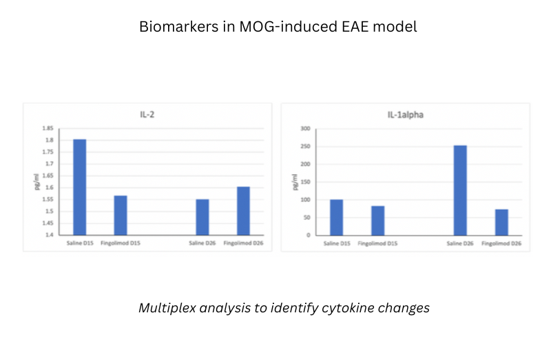 MOG-EAE Efficacy Model for Multiple Sclerosis