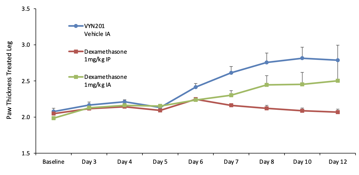 Inflammatory Pain Models in Preclinical Research