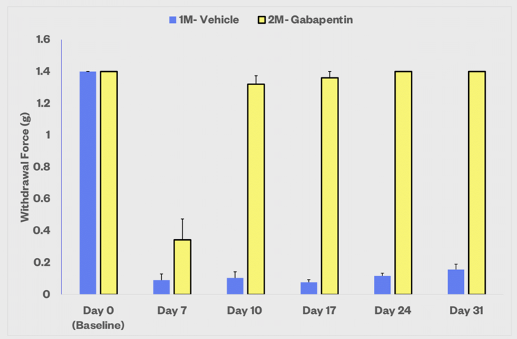 Neuropathic Pain | Chronic Constriction Injury (CCI) Model