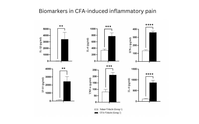 Acute Inflammatory Pain Models