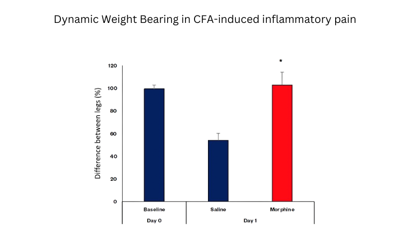 Acute Inflammatory Pain Models