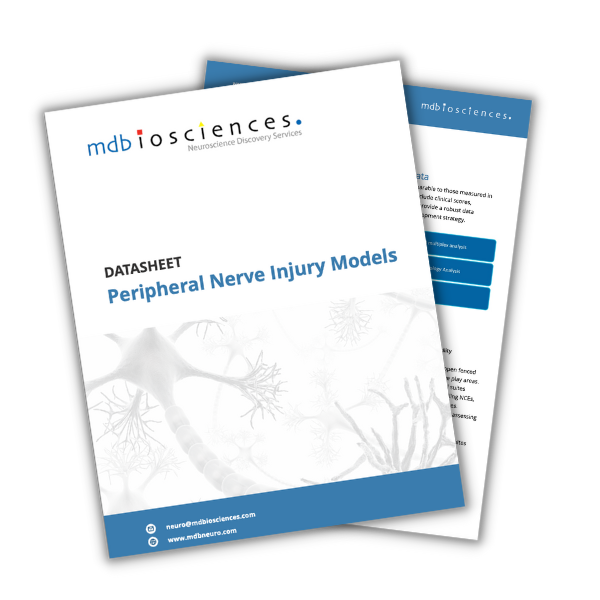 Neuropathic Pain | Spinal Nerve Ligation (SNL) Model