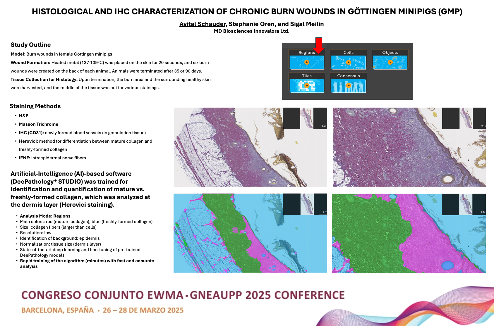 Preclinical Neurology CRO | Pain, CNS, and Neurodegeneration Models