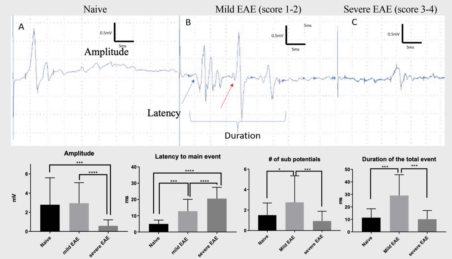 MOG-EAE Efficacy Model for Multiple Sclerosis