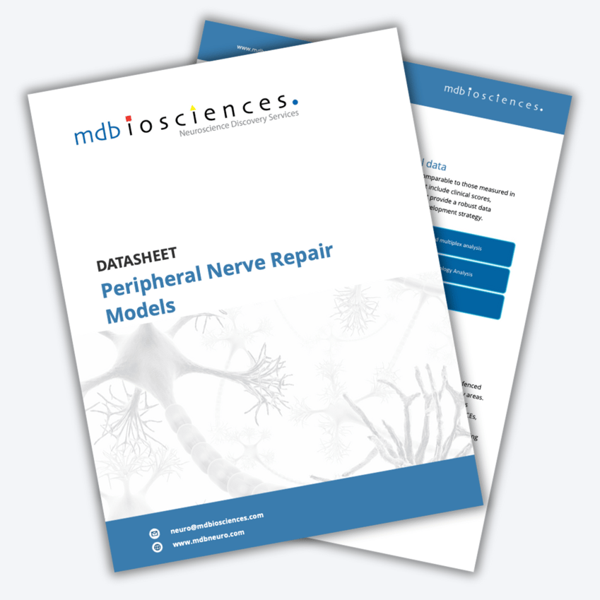 Peripheral Nerve Repair Models
