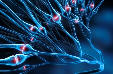Neuroinflammation
