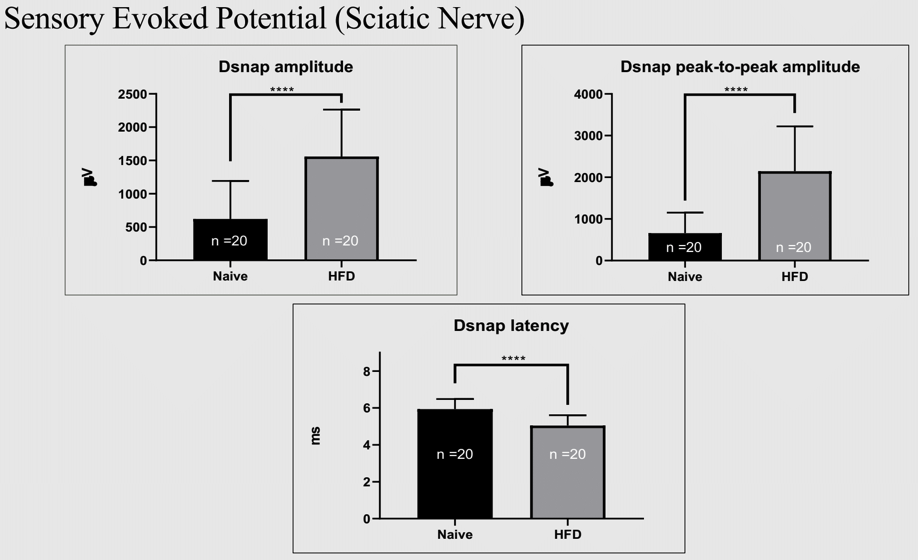 Preclinical Neuropathic Pain Models