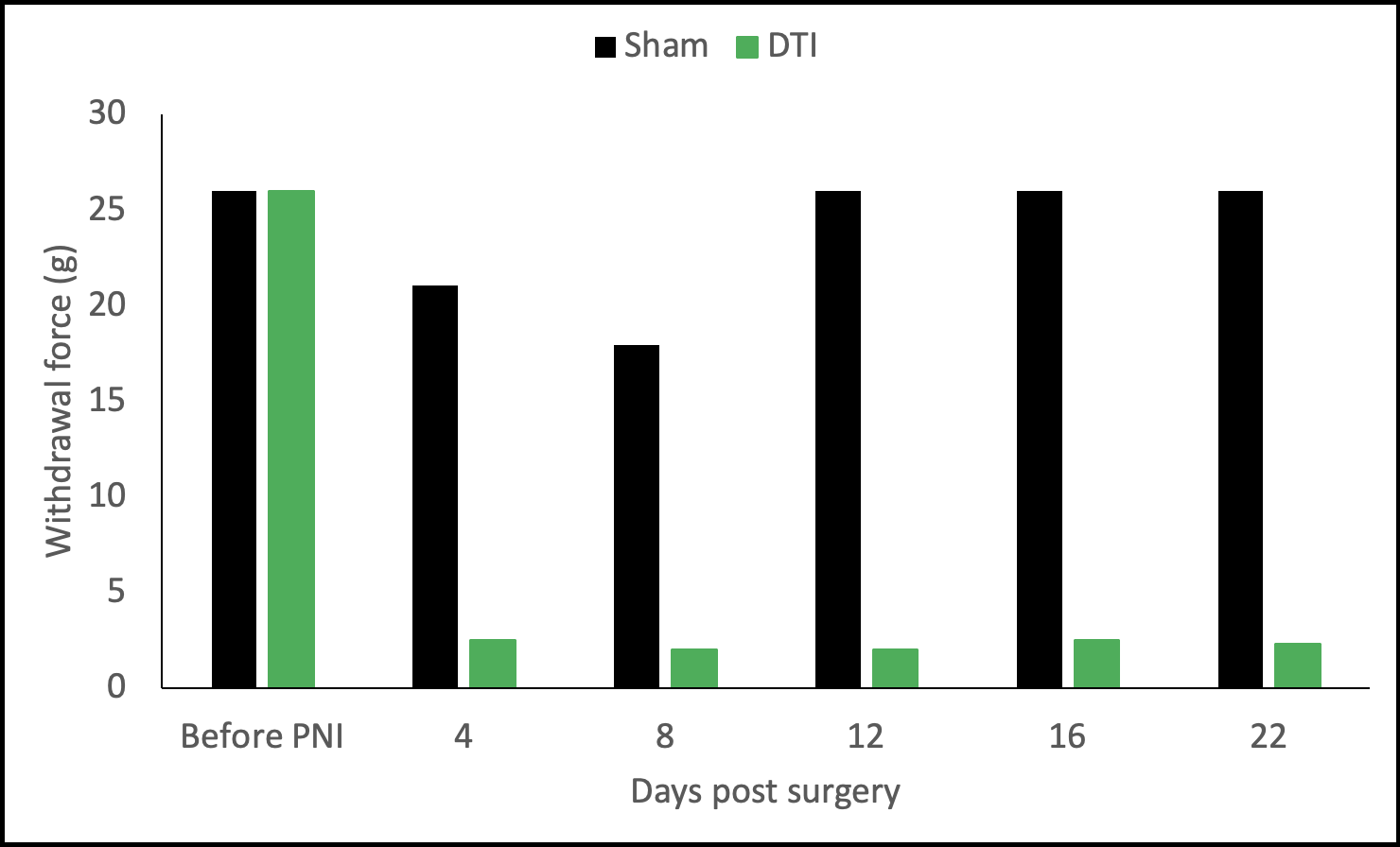 Distal Tibial Injury (DTI) Model