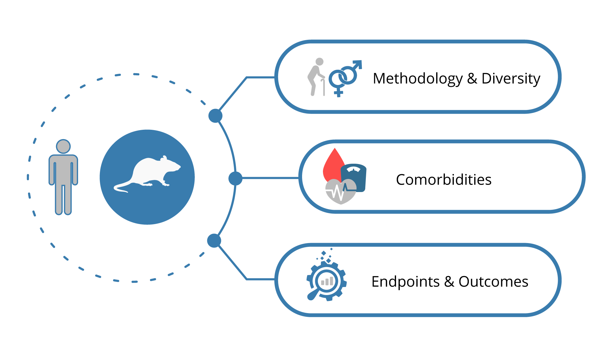 Webinar Diversity in preclinical efficacy studies