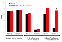 Neuropathic Pain | Spinal Nerve Ligation (SNL) Model