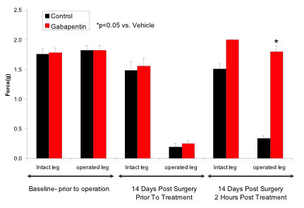 Neuropathic Pain | Spinal Nerve Ligation (SNL) Model