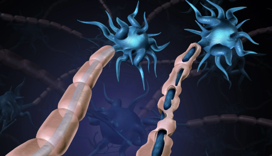 Preclinical Neurology CRO | Pain, CNS, and Neurodegeneration Models